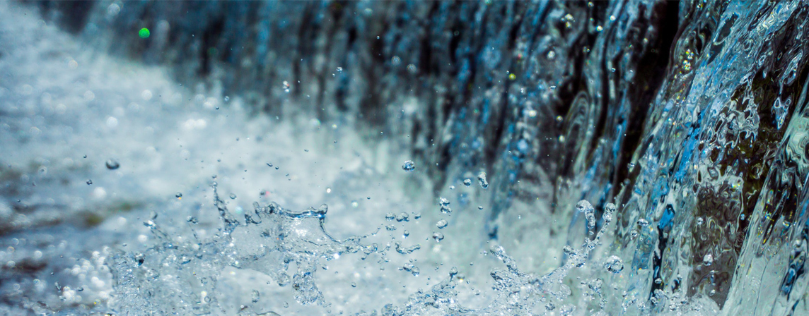 DELTA QUIM S.DE R.L. M.I.